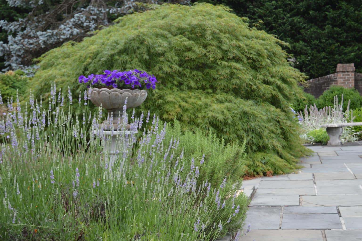 Secrets To Creating A Stunning Landscape Design | Allentick
