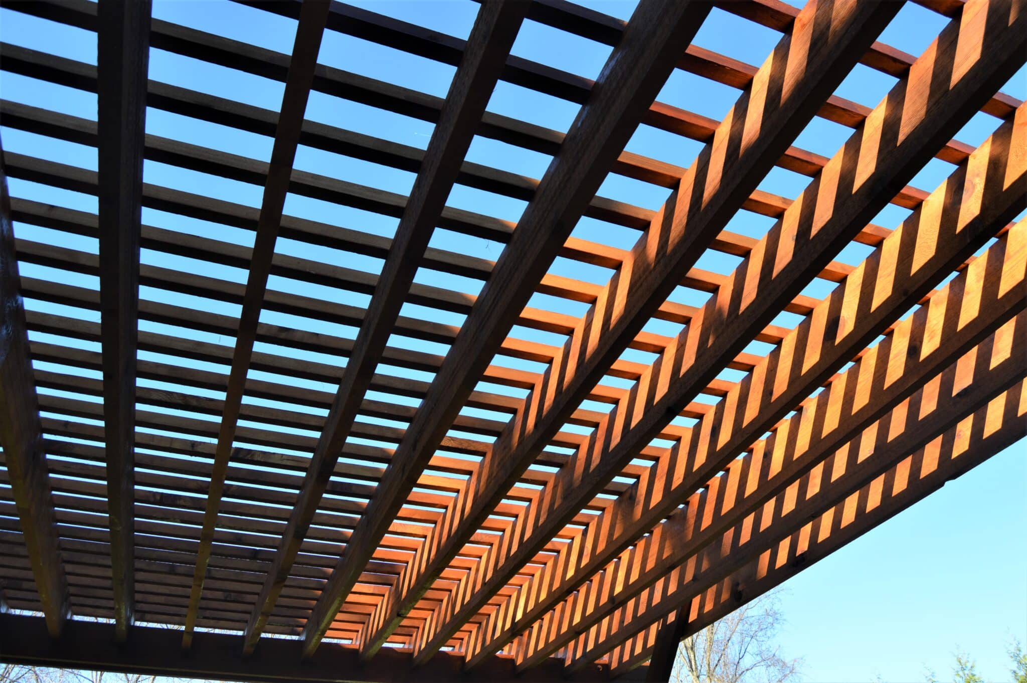 Landscape Design Trends for 2025: What’s In. What’s Out - Allentuck ...