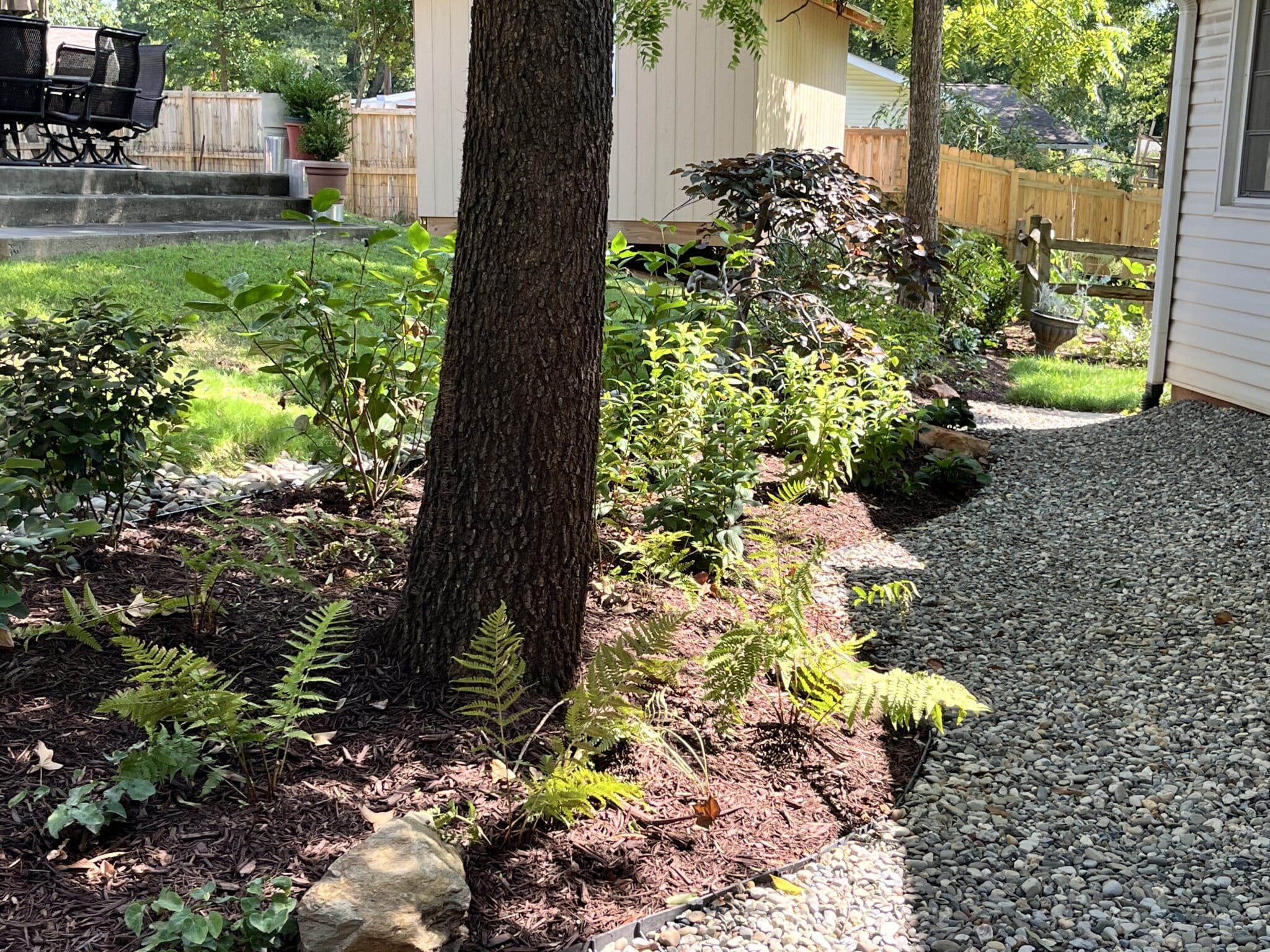 Landscaping Under Trees Without Harming Their Roots - Allentuck Landscaping