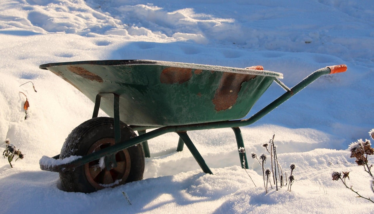 Winter Landscaping Ideas: How to Keep Your Yard Vibrant All Season Long ...